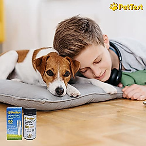 UTI Test Strips for Dogs & Cats detect a Urinary Tract Infection in Your Pet. Use PetTest Cat & Dog UTI Test Strips at Home for an Easy Urine Test. UTI Test for Cats & Dogs Help Manage pet Health.