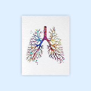 Dignovel Studios 8X10 Unframed Lung Anatomy Human Body Watercolor Art Print Poster Medical Science Housewarming Wall Art Giclee Office Home Decor DN541