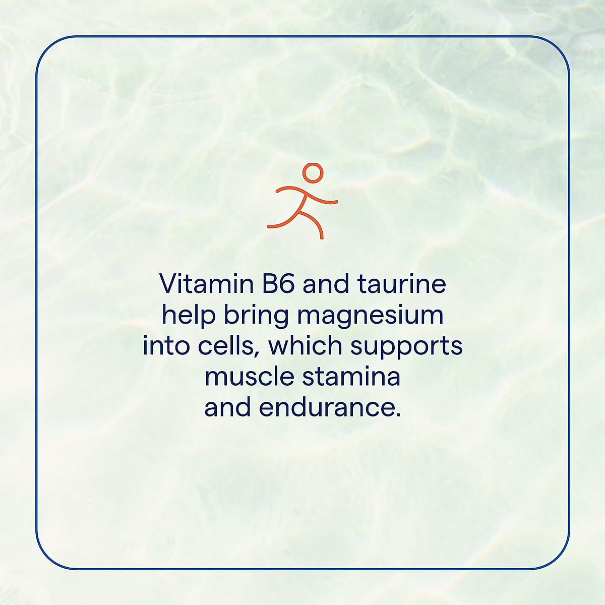 Trace Minerals Electrolyte Stamina - Heart Health & Hydration Support - Electrolyte Supplement Aids Muscle Cramp Relief & Endurance - Mineral Supplement with Magnesium - 300 Tablets (50 Servings)