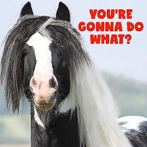 The Blissful Dog Horses Simply Clean Sheath Butter All Natural Cleansing for Your Horse, 4-Ounce