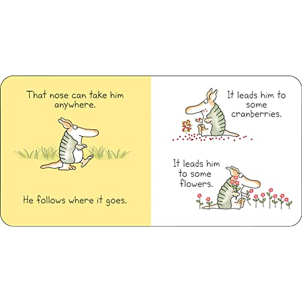 But Not the Armadillo