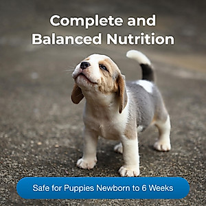 Pet-Ag PetLac Powder for Puppies - 10.5 oz, Pack of 2 - Puppy Milk Replacement Powder for Puppies Newborn to Six Weeks Old - Easy to Digest