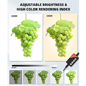 SAMTIAN Upgrade 8 Backdrops Light Box, 12" Shooting Tent with 120 LED Lights Photo Studio Light Box Photography with Reflection Board & Diffuser for Small Size Product Photography