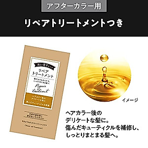 Kao Liese Prettia Bubble Hair Dye # New York Ash