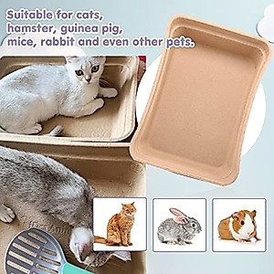 8 Pieces Disposable Litter Boxes for Cats Paper Cat Litter Tray Portable 2 in 1 Kitten Litter Box for Cat, Hamster, Guinea Pig, Mice, Small Animals, 16.7 x 12.8 x 4.1 inch