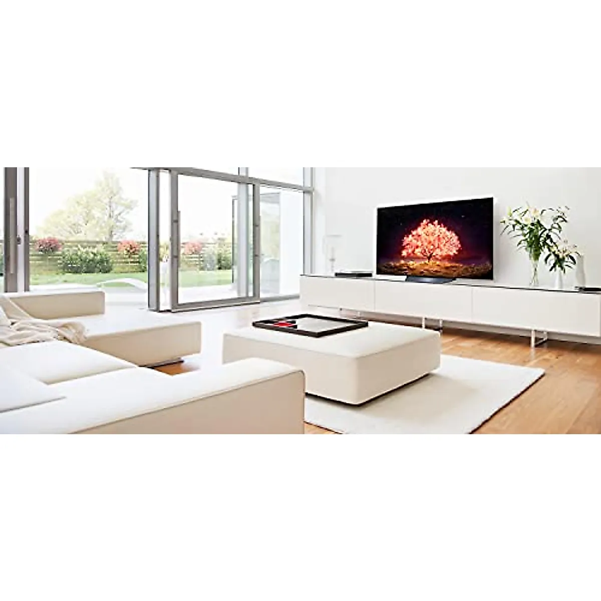 LG OLED B1 Series 65” Alexa Built-in 4k Smart TV, 120Hz Refresh Rate, AI-Powered, Dolby Vision IQ and Dolby Atmos, WiSA Ready, Gaming Mode (OLED65B1PUA, 2021)