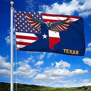 Texas Eagle Behind American Flag, American Eagle Veteran Flag, 3x5 Double 3x5inch
