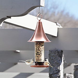 Martha Stewart MTS-PRMBRDSD 5-Pound Premium Song Blend Bird Seed, Clear