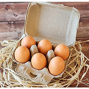 Lawei 20 Pack Empty Egg Cartons - 6 Cell Pulp Fiber Egg Tray Holder Egg Storage Containers for Family, Farm, Market, Camping, Picnic, Travel