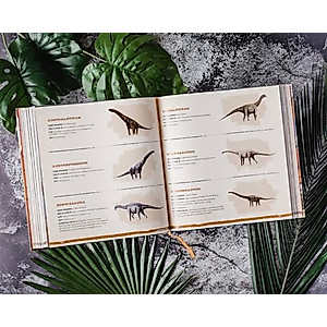 Dinosaur World: Over 1,200 Amazing Dinosaurs, Famous Fossils, and the Latest Discoveries from the Prehistoric Era (Explore The Mesozoic Era with Over 1,200 Dinosaur Species)