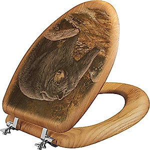 House & Homebody Co. Elongated Toilet Seat, Oak Veneer, Outdoor Image (Streamside Bear)