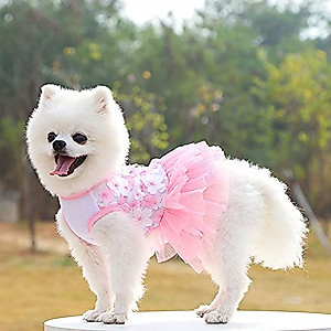 Girl Dog Clothes for Small Dogs Girl Dog Wedding Dress Puppy Clothe Dog Dresses for Medium Dogs Girl Cat Dresses for Cats Only Dog Birthday Dress Dog Tutu Dog Outfits 2 Pack (Small)