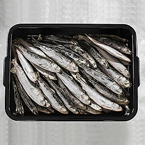 Ponpong 8 L Commercial Plastic Bus Box, Black Bus Tubs Restaurant, 5 Packs