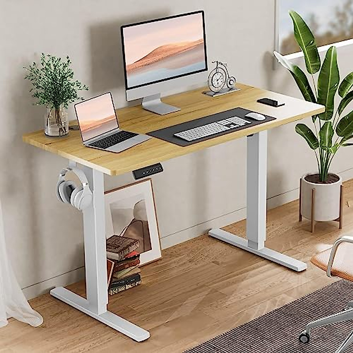 SMUG Electric Standing Desk with Memory Preset, Ergonomic Height Adjustable Table with T-Shaped Metal Bracket Modern Computer Workstations for Home Office, 4024, Natural