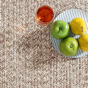 nuLOOM Wynn Braided Indoor/Outdoor Area Rug, 10' x 14', Tan