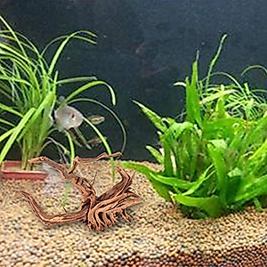 Tfwadmx Natural Driftwood for Aquarium, 4 Pcs Wood Aquarium Decorations Fish Tank Log Reptile Tree Branches