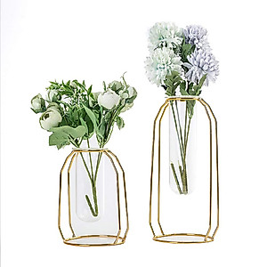 MARATTI 2 Pcs(S+L) Flower Vases with Iron Art Frame, Metal Geometric Flower Vase, Clear Vase Decorative for Home Office Wedding Holiday Party Celebrate (Gold/Rose Gold) (Gold)…