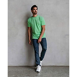 INTO THE AM Premium Men's Fitted Crew Neck Basic Tees - Modern Fit Fresh Classic Short Sleeve Logo T-Shirts for Men (Light Green, Large)