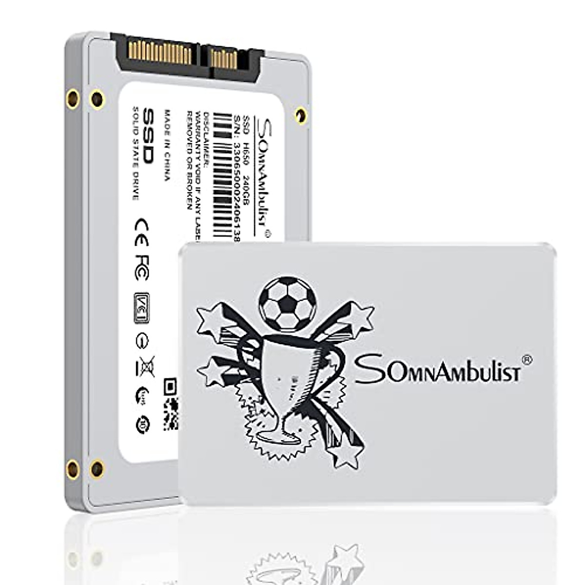 Somnambulist 2.5 sata ssd 120gb 240gb 480gb 960gb 2tb HDD ssd 60gb Solid State Drive Suitable for Desktop Laptop (White Trophy 2TB)