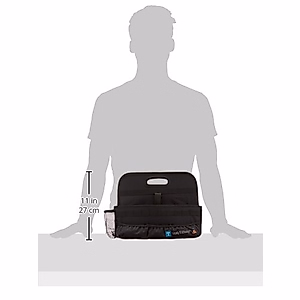 Totally Tiffany SDTT45BLK Plastic Ditto Desktop Organizer-Black/Pink, White