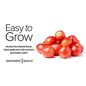 Roma VF Tomato Seeds for Planting Heirloom Non-GMO Seeds for Home Garden Vegetables Makes a Great Gift for Gardening by Gardeners Basics
