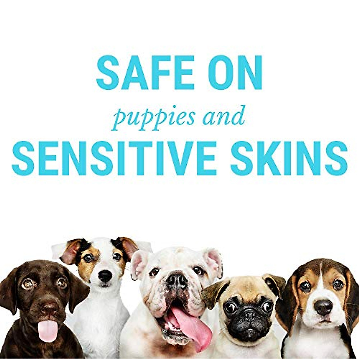 DogFresh Soothing, Cleansing, Dander Removing Spray for Dogs and Cats with Problem Skin