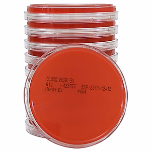 Columbia CNA Agar (Colistin and Nalidixic Acid), with 5% Sheep Blood, for the Selective Isolation of Gram Positive Bacteria, 15x100mm Plate, Order by the Package of 10 plates, by Hardy Diagnostics