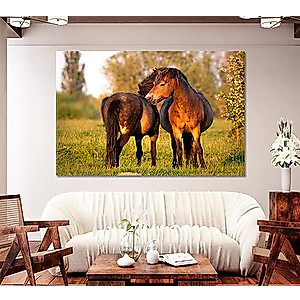 Pair of Exmoor Ponies Canvas Print 1 Panel / 36x24 inches