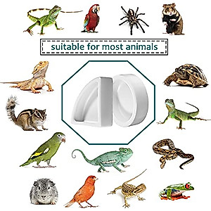 4 Pieces Reptile Food Water Bowl Set, Includes 2 Reptile Round Food Dish 1 Corner Water Dish and 1 Feeding Tongs for Reptile Bearded Dragon Chameleon Lizard Hermit Crab Gecko Tortoise Spider Pet