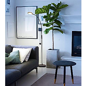 Brightech Vista LED Floor Lamp, Tall Lamp with Remote Control & Adjustable Gooseneck for Bedrooms, Lamp for Living Rooms & Offices, Modern Standing Lamp with 25 Light Colors & Dimming Options