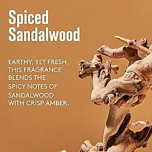 Barrel and Oak - All-In-One Body Wash, Men's Face, Hair, & Body Wash, Natural Exfoliator & Moisturizer, Hydrates Hair & Beard, Fragrant Amber Scent, Certified Organic (Spiced Sandalwood, 16oz)