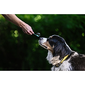 Puppy Love Bubbles, Bacon Scented Bubbles 4oz. Bottle-2 Pack in Bacon Flavor for Dogs