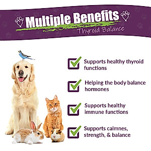 Amber NaturalZ TYD Thyroid Balance Herbal Supplement for Dogs, Cats, Birds, Guinea Pigs, and Rabbits | Herbal Pet Supplement for Thyroid Health | 1 Fluid Ounce Glass Bottle | Manufactured in The USA