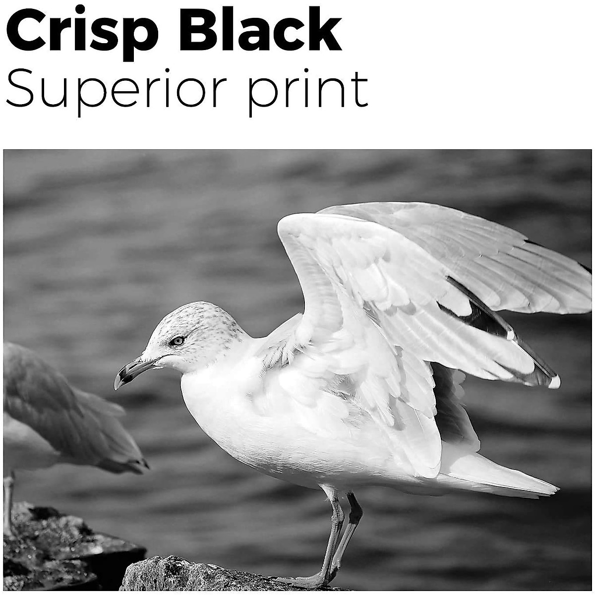 myCartridge Compatible Ink Cartridges Replacement for Brother LC3011 LC-3011 ink cartridge Work with Brother MFC-J491DW MFC-J690DW MFC-J895DW MFC-J497DW Printer 8-Pack (2 Black 2Cyan 2Magenta 2Yellow)