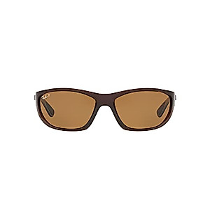 Ray-Ban RB4188 Wrap Sunglasses, Shiny Brown/Brown Polarized, 63 mm