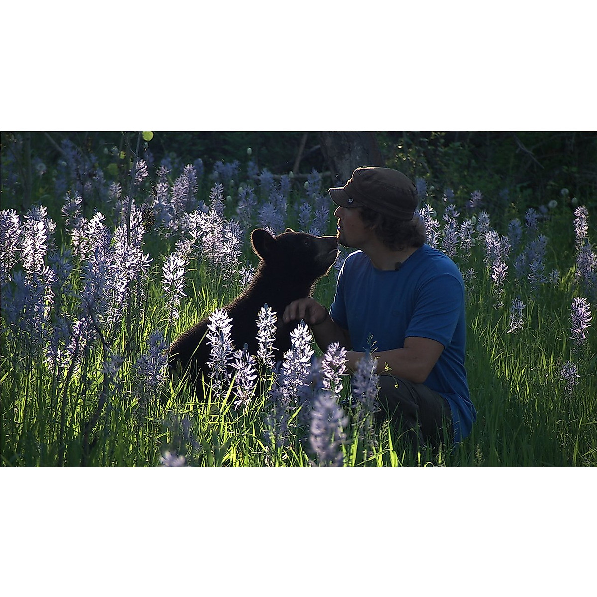 Kinect Nat Geo TV - Xbox 360