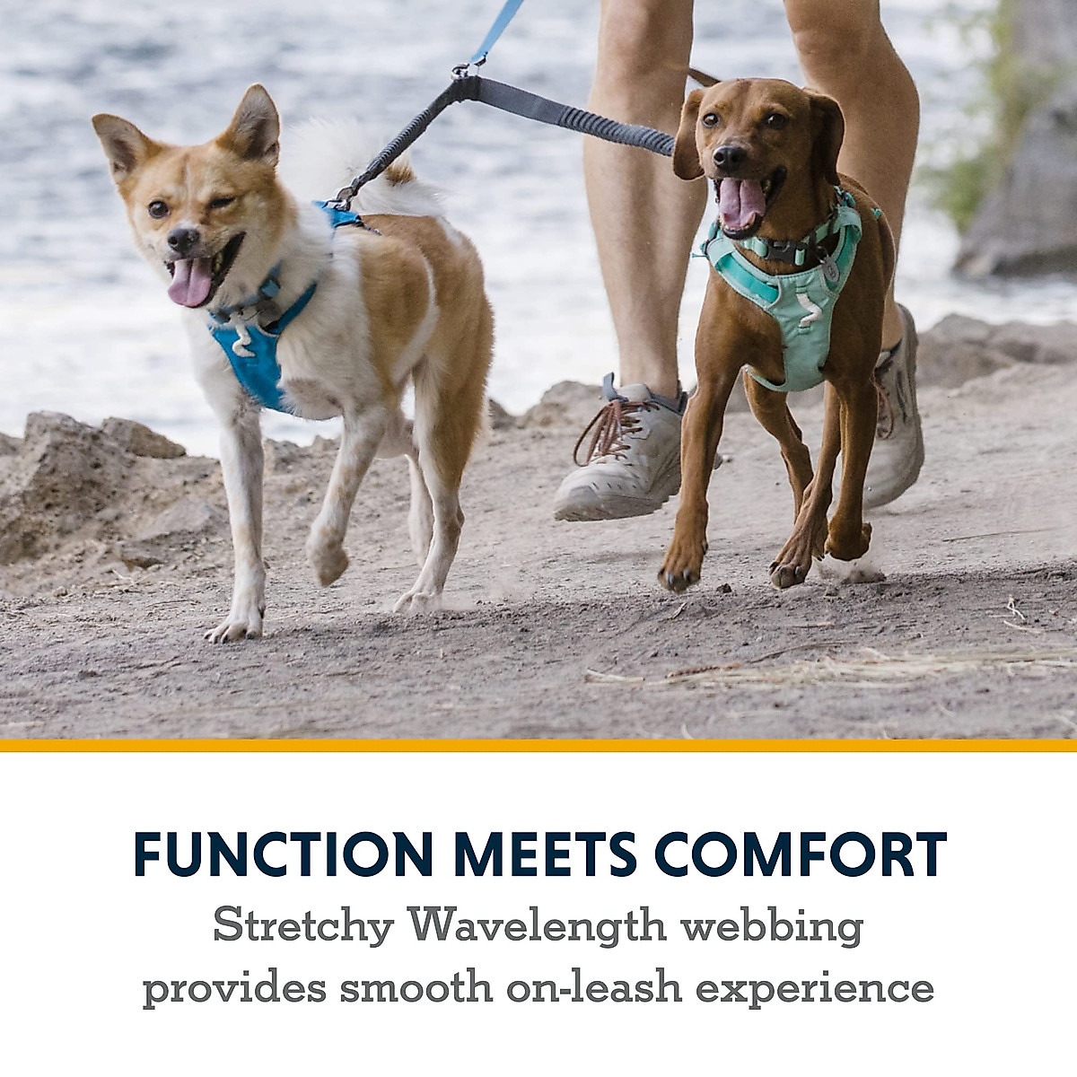 Ruffwear, Double Track Coupler Leash Extension for Walking 2 Dogs, Basalt Gray