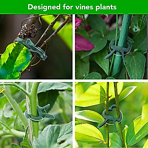 iPower 40 Pcs Plant Clips, Reusable Plant Support Stake Clips for Flower Vine Tomato Peony, Garden Clips for Supporting or Straightening Plant Stems, Stalks, Green