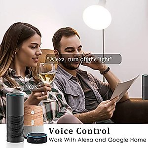 Smart Plug, Wi-Fi Outlet Switch That Work with Alexa/Google Home/Smart Life, Timer Schedule ON/Off Plug, Mini Wireless Socket, 2.4 GHz， No Hub Required, 2 Pack