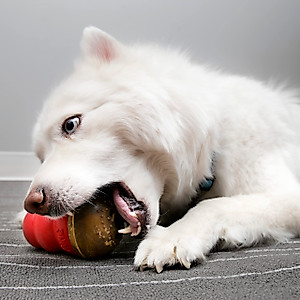 KONG Marathon - Pet Supplies for Training & Playtime - Healthy Dog Treat Dog Toys - for Large Dogs - Chicken Flavor - 2 Pack (4 Pieces Total)