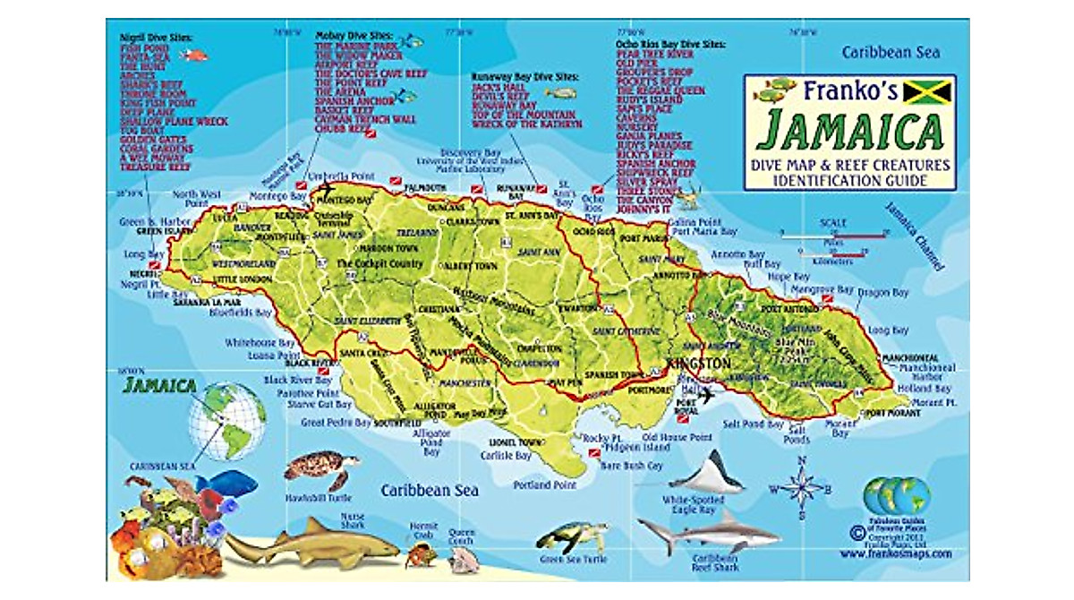 Jamaica Dive Map & Coral Reef Creatures Guide Franko Maps Laminated ...