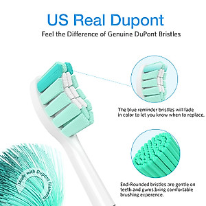 Replacement Heads for Aquasonic - Replacement Brush Head Compatible with Black Series, Black Series Pro,Vibe Series,Duo Pro, Duo Series Pro – Awesome Design from Senyum - 8 Packs