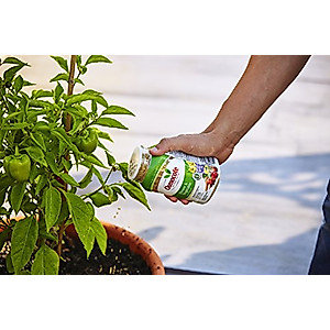 Osmocote Smart-Release Plant Food Flower & Vegetable, 1 lb.