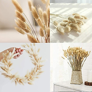 100 Pcs Natural Lagurus Ovatus Rabbit Tail Dried Flowers,17 inch/45 cm Dried Bunny Tails Grass Decor for Home Kitchen Garden Party Photographing Flower Arrangement Vase Decoration