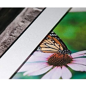 RC-Depot1 - Premium 60 ft Polyester matte Canvas roll waterproof 280 gsm (4 Size Available) quick dry wide format Inkjet Perfect for Fine Art Photography Giclée Printing (24 inch x 60 ft,)