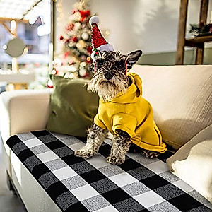 Aracon Buffalo Check Rug 27.5'' x 43'' Plaid Rug Reversible Cotton Hand-Woven Carpet Outdoor Black and White Checked Fall Decor Rug for Layered Front Porch Door Mats, Entryway, Farmhouse