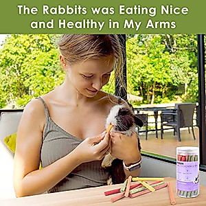 ERKOON 40Pcs Timothy Hay Sticks, Chinchilla Treats, Chew Toys for Teeth for Bunnies Guinea Pigs Gerbil