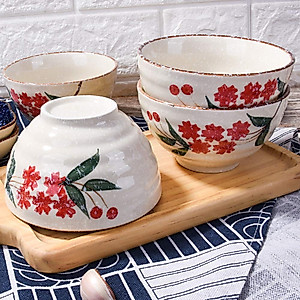 LMRLCS Japanese Style Snowflake Rice Bowl set of 4, Ceramic Rice Bowls for Rice Soup Oat (Red)