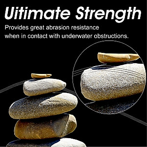 RIKIMARU Fluoro Fishing Line, 100% Fluorocarbon Coated Fishing Line (Clear, 6LB/0.23mm/300Yds)