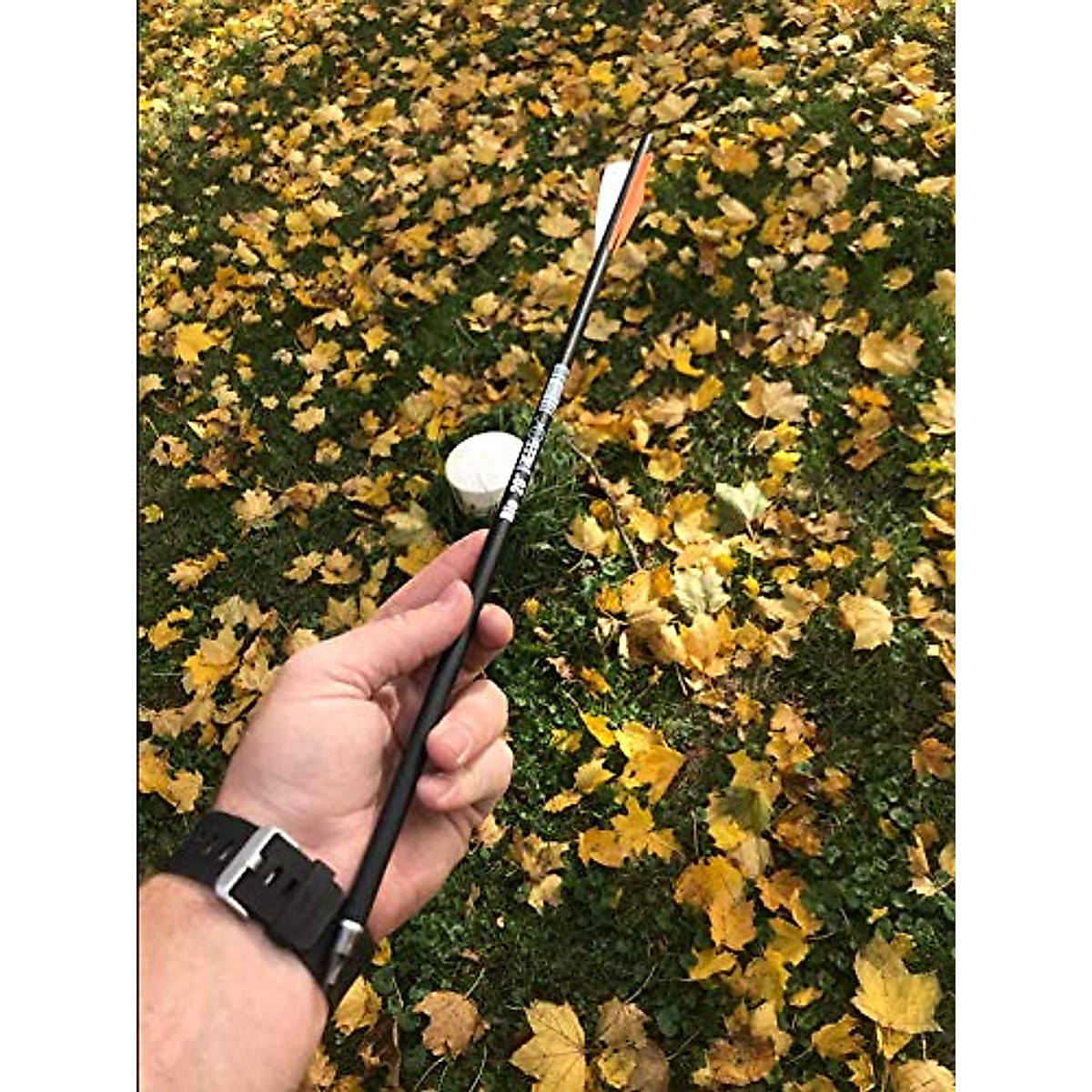 REEGOX Crossbow Bolts 20 inch Bio Crossbow Arrows with 4-Inch Vanes(Pack of 12)